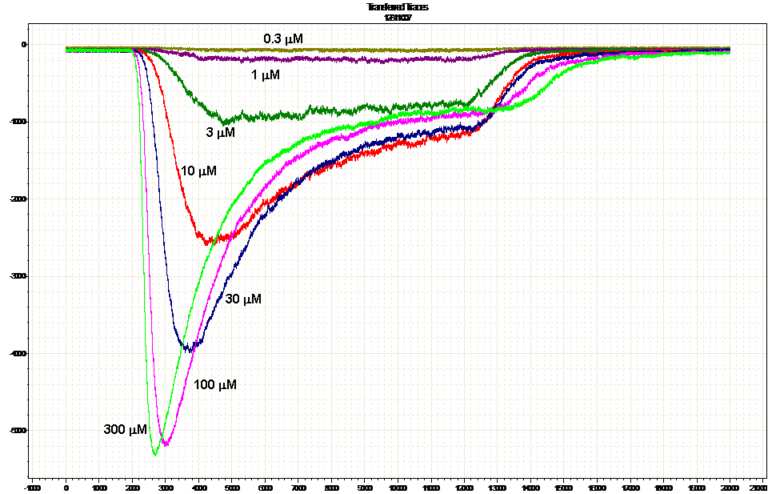 Custom Biochemical Assay Development Services - WuXi Biology