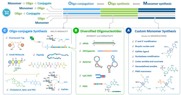 Oligonucleotides - WuXi Biology