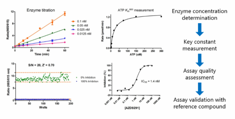 Custom Biochemical Assay Development Services - WuXi Biology