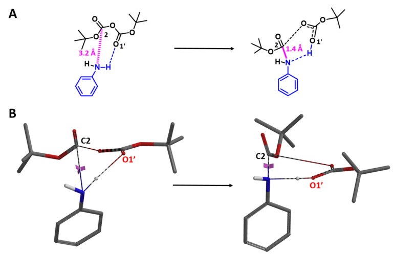Alcohol Catalysis in Boc Protection of Primary Amines