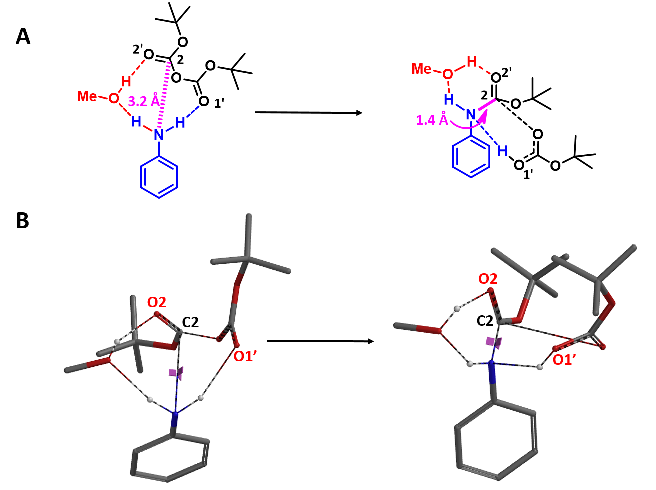 Alcohol Speed up Boc Protection of Primary Amines - WuXi Biology