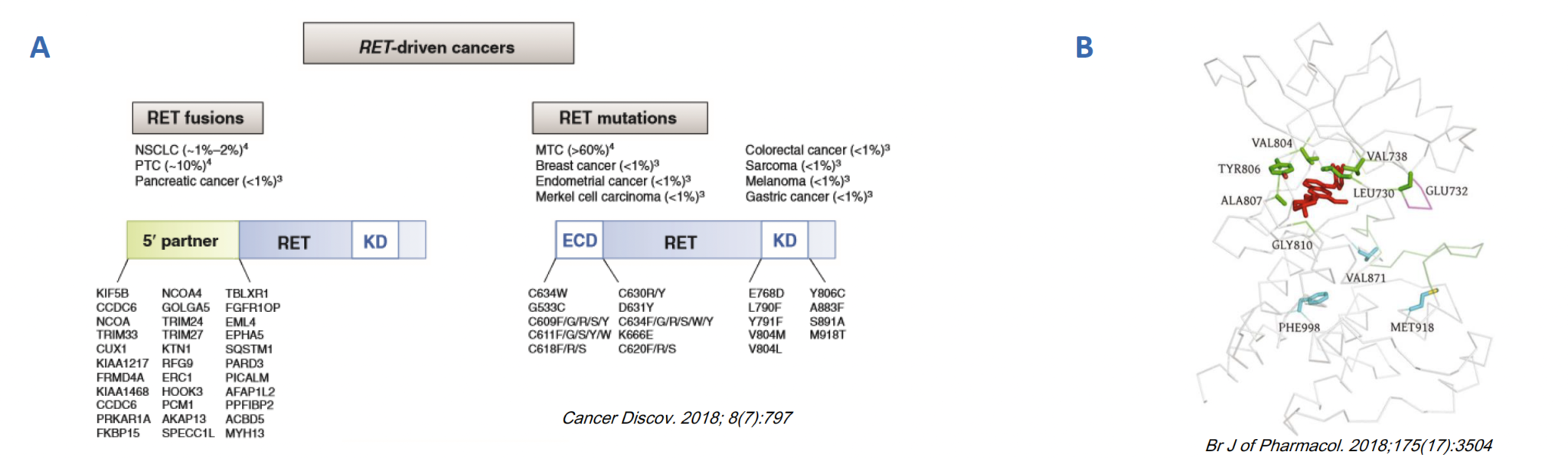 Engineered cell line panel complemented with in vivo models to enable ...
