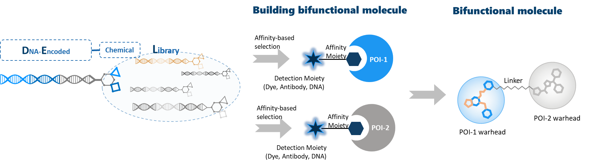 Enabling Technology for Targeted Protein Degradation - WuXi Biology