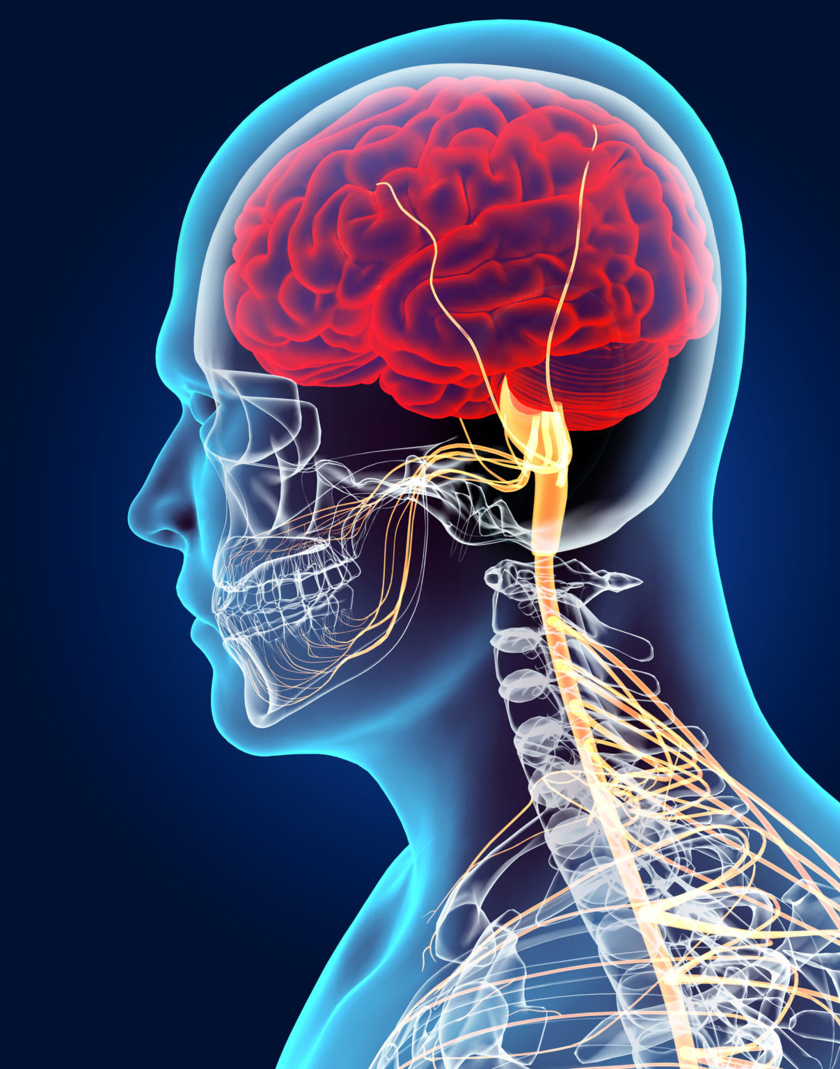 CNS Disease Models & Safety Testing - WuXi Biology
