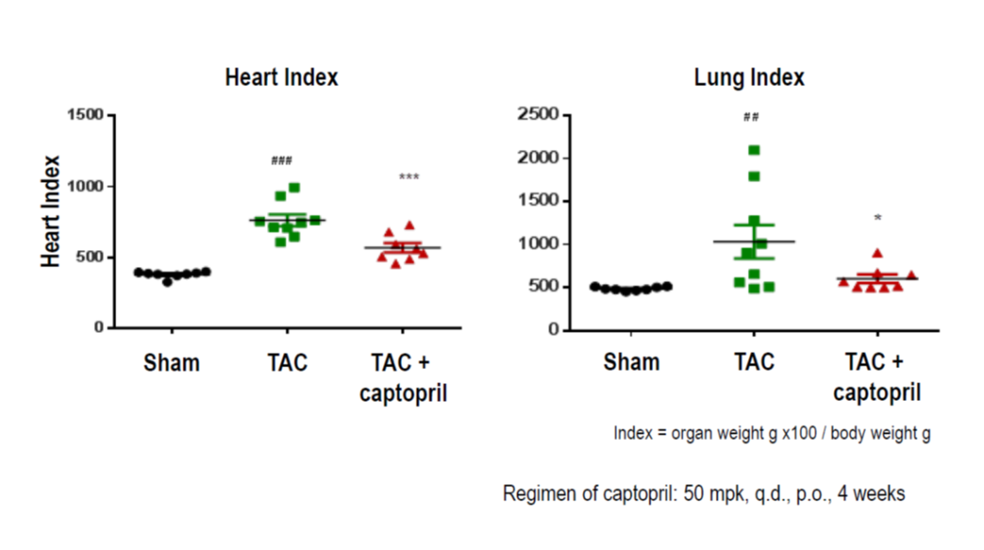 Cardiovascular Diseases Models - WuXi Biology