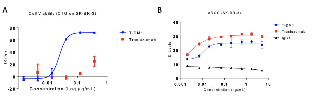 Evaluation of the efficacy of ADC in vitro and in vivo - WuXi Biology