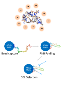 DNA-Encoded Libraries (DEL) - WuXi Biology