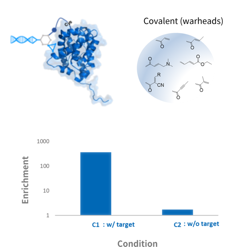 DNA-Encoded Libraries (DEL) - WuXi Biology