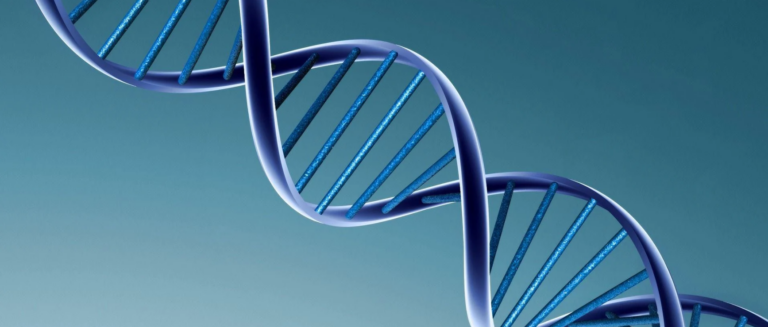 10th International Symposium On DNA-Encoded Chemical Libraries - WuXi ...