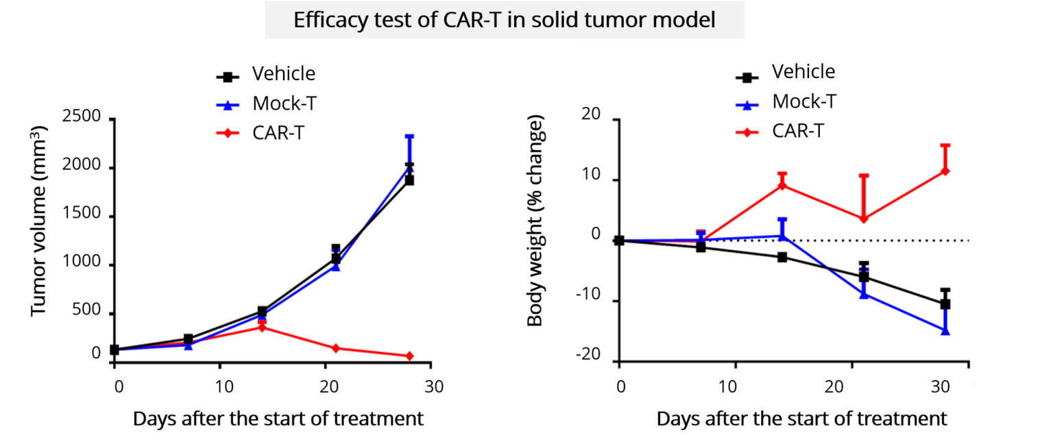 CAR-T Cell Therapy - WuXi Biology