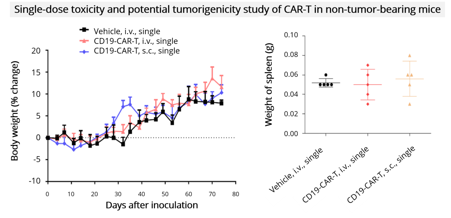 CAR-T Cell Therapy - WuXi Biology