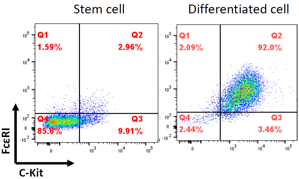 CD34+ Hematopoietic Stem Cell Differentiation Platform - WuXi Biology