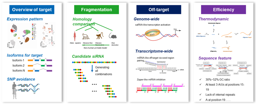Advances and Biological Evaluation of Oligonucleotide Drugs - WuXi Biology