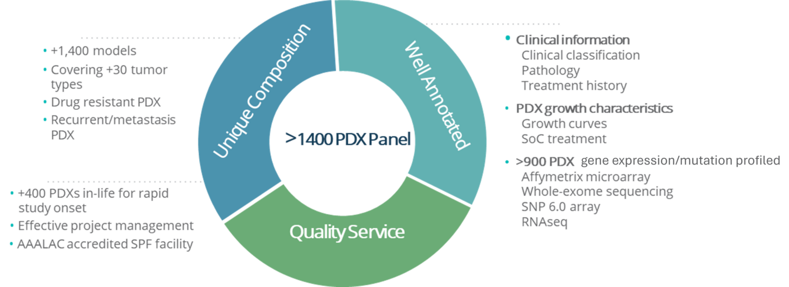 Preclinical Tumor Models for Oncology Research - WuXi Biology