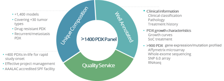 Preclinical Tumor Models for Oncology Research - WuXi Biology