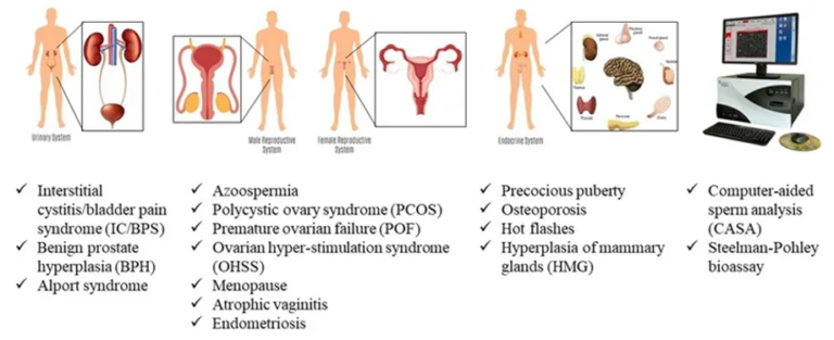 Precocious Puberty Animal Models - WuXi Biology