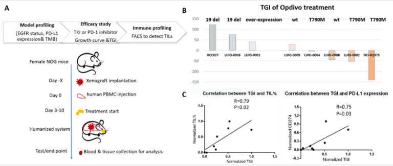 Expanded Role of PDX Models in Anticancer Drug Development - WuXi Biology