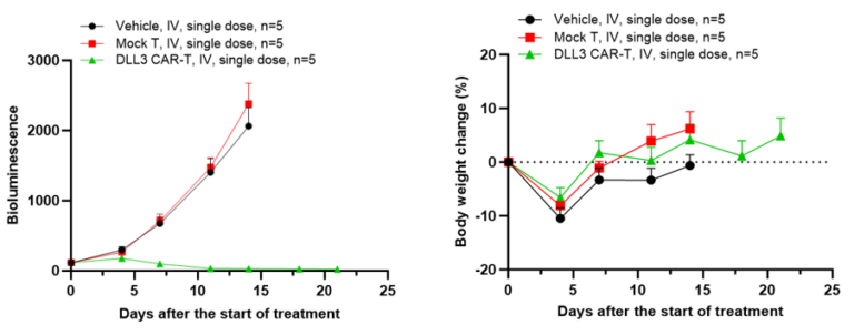 OncoWuXi Express: Efficacy of DLL3 CAR-T in SHP-77 Tumor Models - WuXi Biology