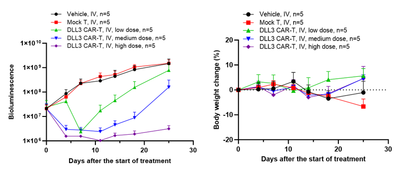 OncoWuXi Express: Efficacy of DLL3 CAR-T in SHP-77 Tumor Models - WuXi Biology