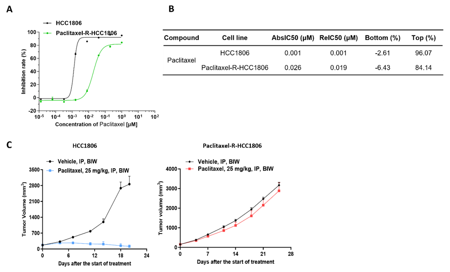 OncoWuXi Express: Paclitaxel-Induced Resistant Tumor Models - WuXi Biology