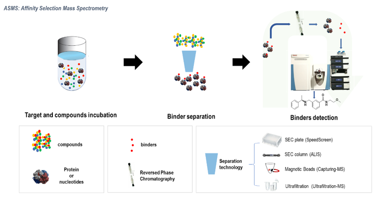 Application Of Affinity Selection Mass Spectrometry Molecular Glues