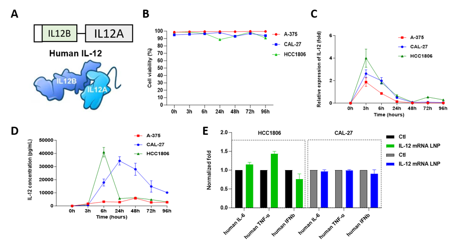 OncoWuXi Express: Anti-Tumor mRNA Drugs - WuXi Biology