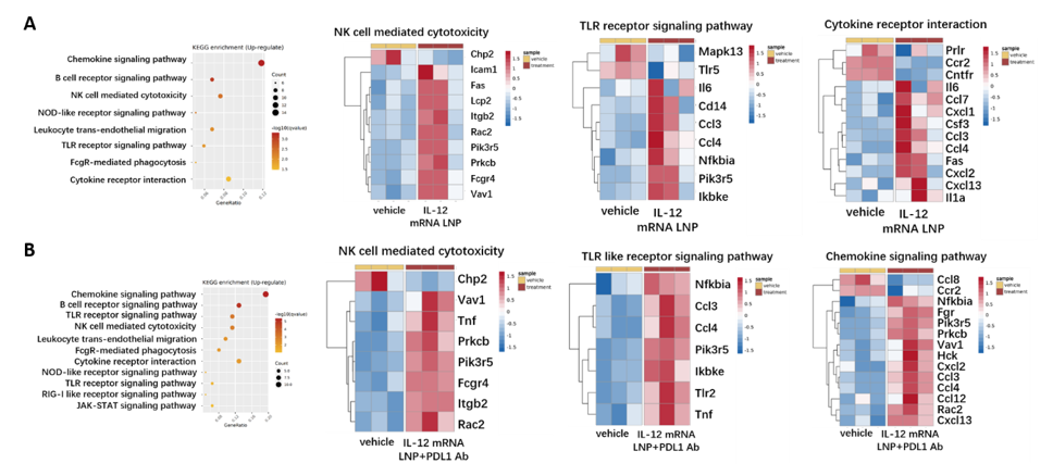 OncoWuXi Express: Anti-Tumor mRNA Drugs - WuXi Biology