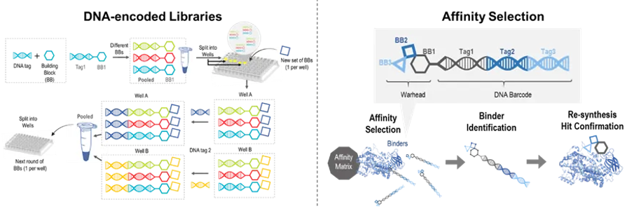 Molecular Glues Discovery & Development - WuXi Biology