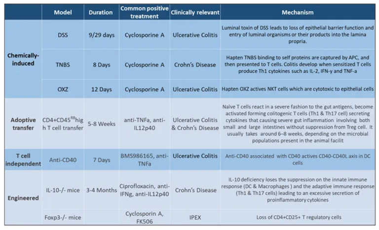 Animal Models of Inflammatory Bowel Disease - WuXi Biology