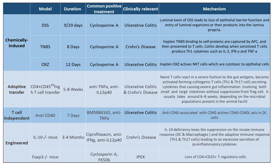 Animal Models of Inflammatory Bowel Disease - WuXi Biology