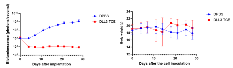 OncoWuXi Express: Evaluation of T Cell Engagers - WuXi Biology