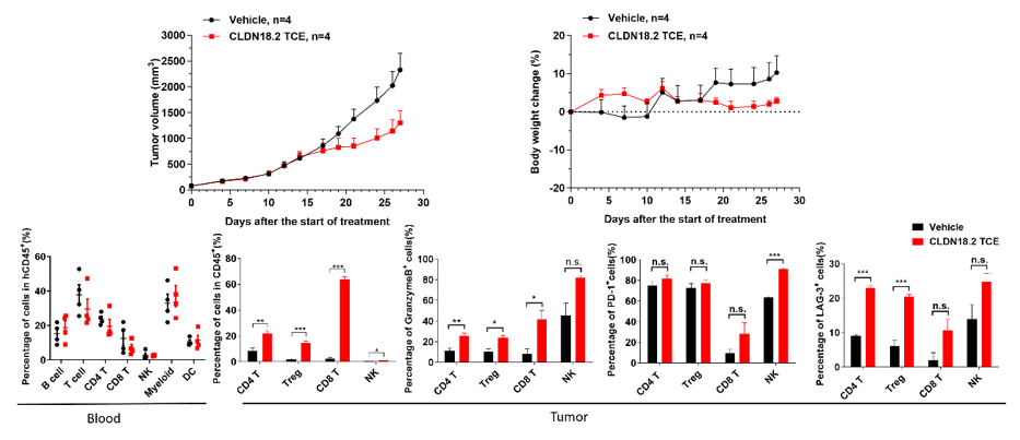 OncoWuXi Express: Evaluation of T Cell Engagers - WuXi Biology
