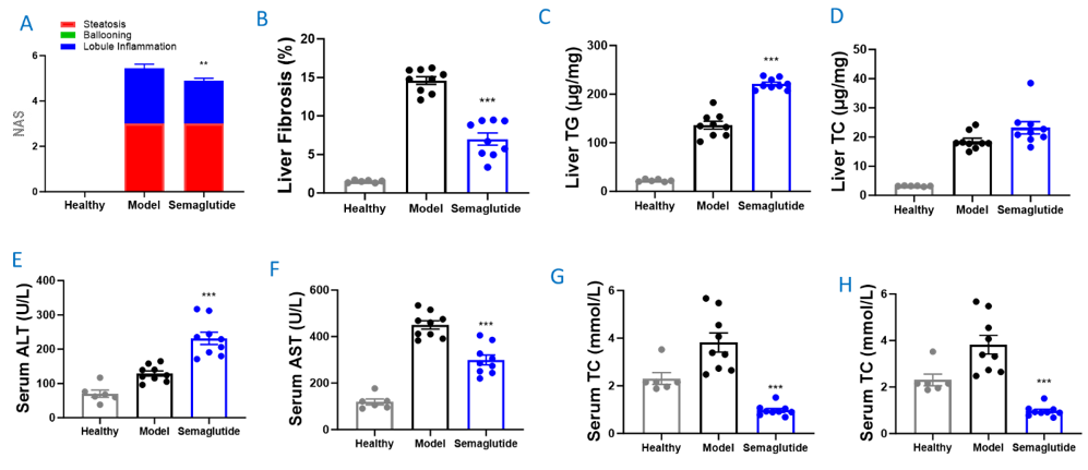 Emerging Role of GLP-1 Receptor Agonists for the Treatment of MASH ...