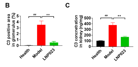 Advancements in Membranous Nephropathy - WuXi Biology
