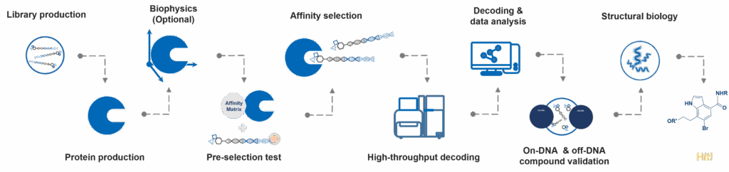 DNA-Encoded Libraries (DEL) - WuXi Biology