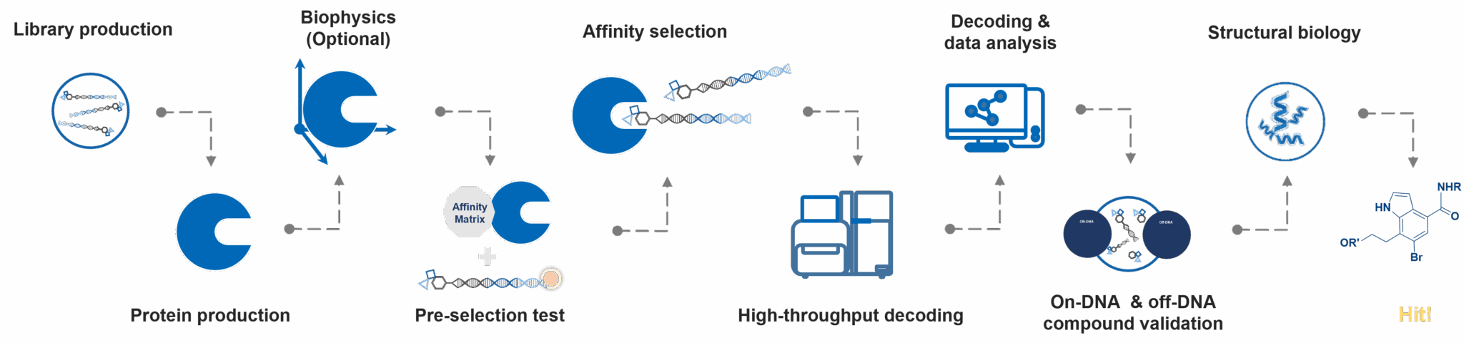 DNA-Encoded Libraries (DEL) - WuXi Biology