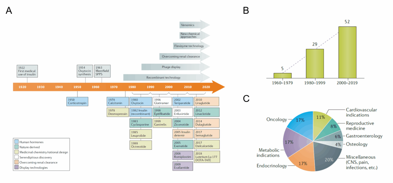 mRNA Display for Peptide Discovery