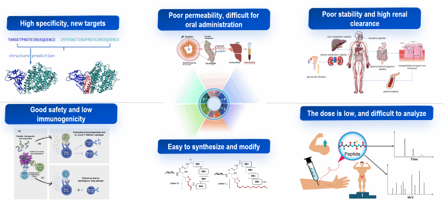 mRNA Display: Unlocking Peptide Discovery - WuXi Biology