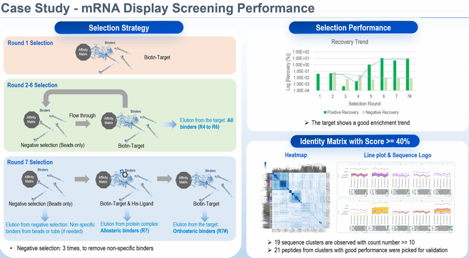 mRNA Display: Unlocking Peptide Discovery - WuXi Biology