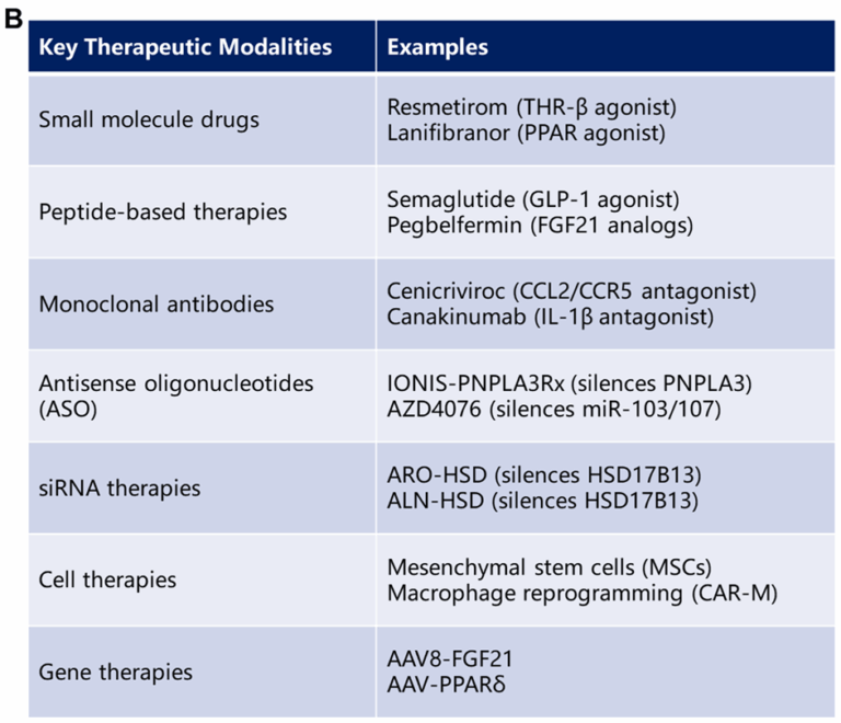Innovative Animal Models for MASH Drug Development - WuXi Biology